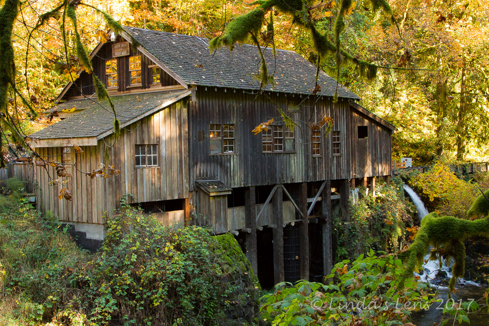 Linda's Lens: Cedar Creek Grist Mill and Lewis River Falls