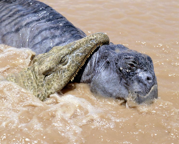 Prehistoric animals: Proterosuchus