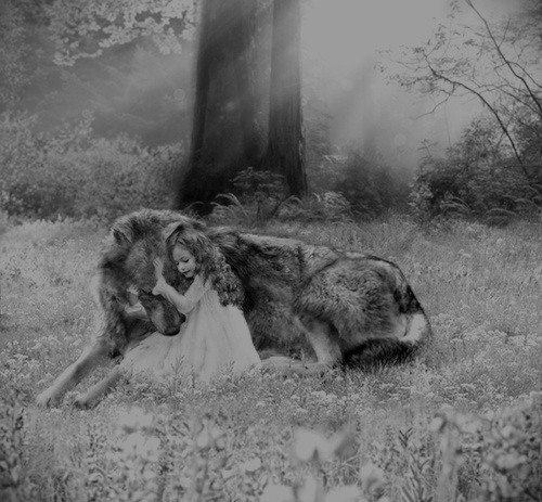 NUNCAJAMAS COCKER: CUANDO UNA NIÑA BESA A UNA LOBA. LEYENDA