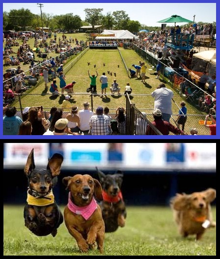 College Forward - Austin