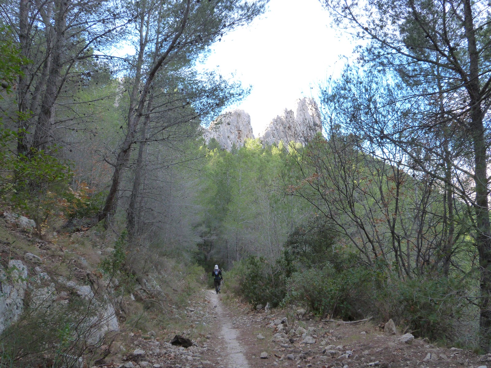 Cerca de las Estrellas: ELS CASTELLETS POR EL PAS DE LÓPEZ