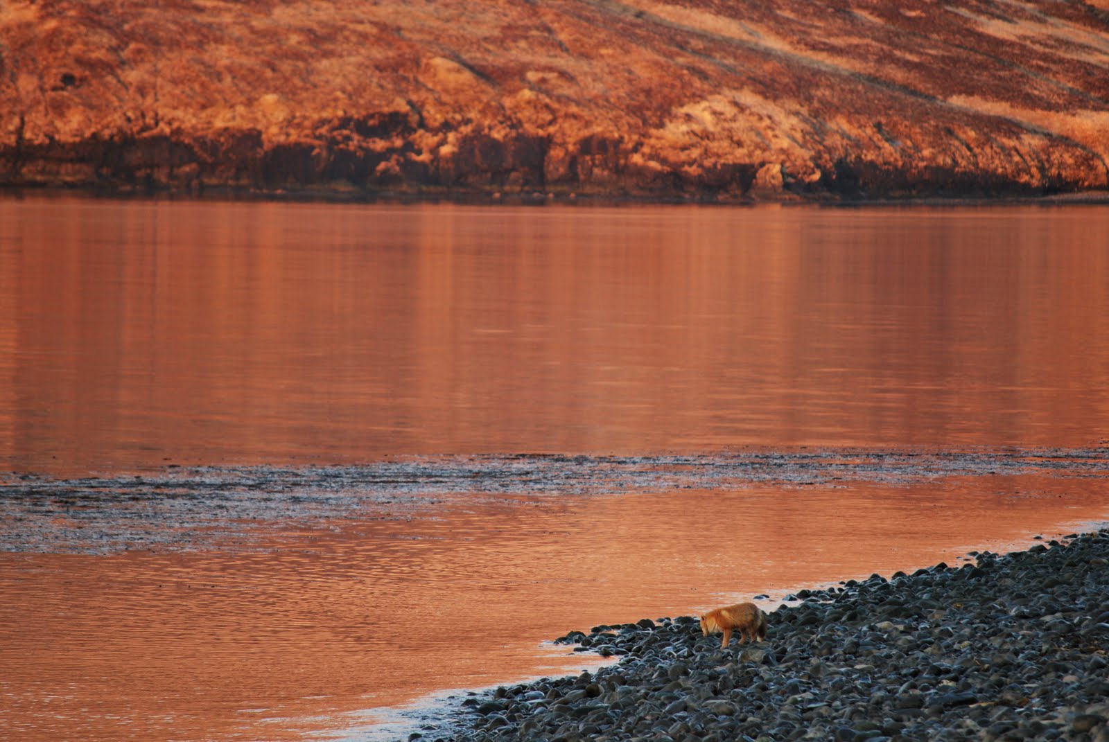 northernXposed: Akutan Island (Akutanax̂ in Aleut) is an island in the ...
