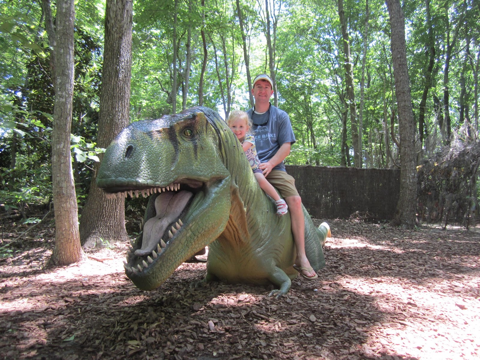 The Cox Family Tree is Growing!: The Zoo!