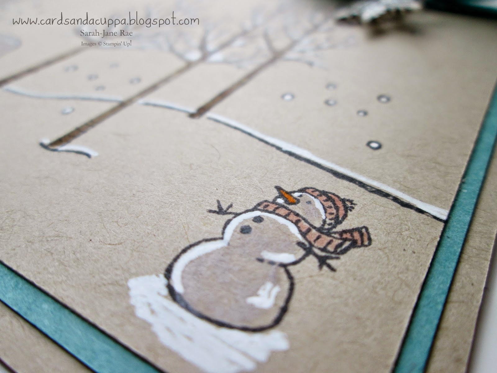 Sarah Jane Rae Cardsandacuppa Stampin Up Uk Order Online 24 7 Polar