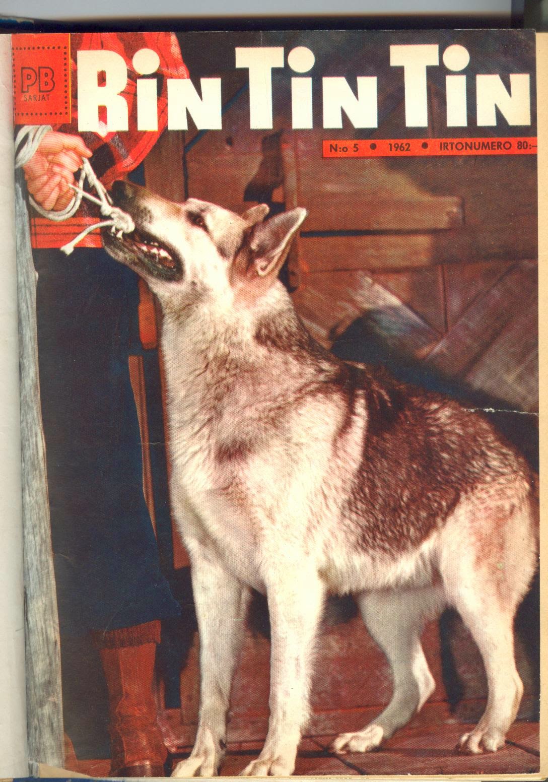 Television aarteet: Rin Tin Tin
