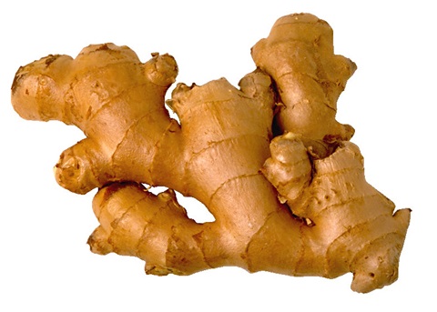 GINGER (Adrak) - Is highly digestive, useful in Vomiting, stomach pain ...