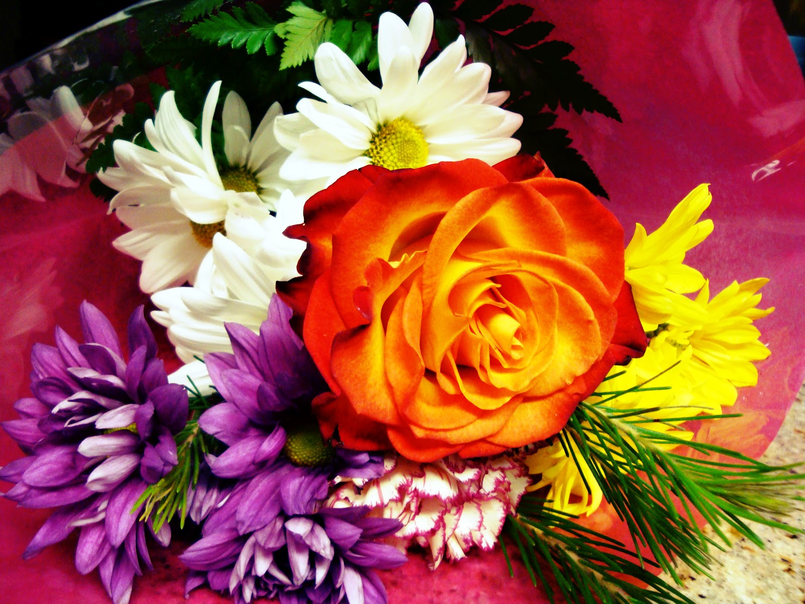 Cardigan Noir: Little Things in Daily Life