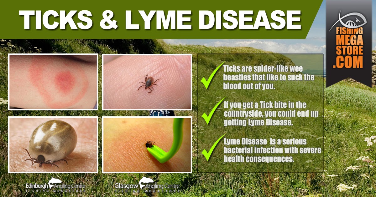 Tick Prevention & Lyme Disease