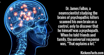 Estrangement Diaries: A Recovery Journal: What lies behind NPD?