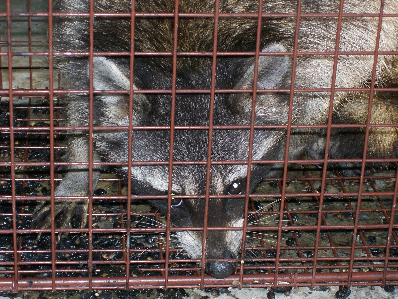 Intuitive Value: Getting Busy in Autumn