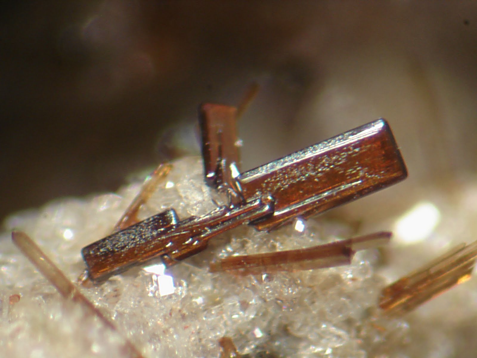 Mineralespaña: Armalcolita