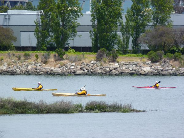 Walking San Francisco Bay: Arrowhead Marsh - May 30, '11
