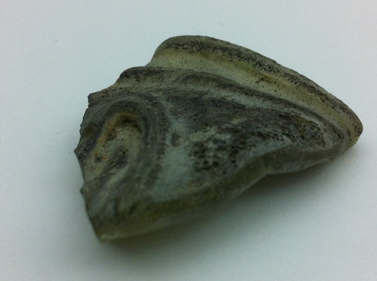 Digital Archaeology Blog