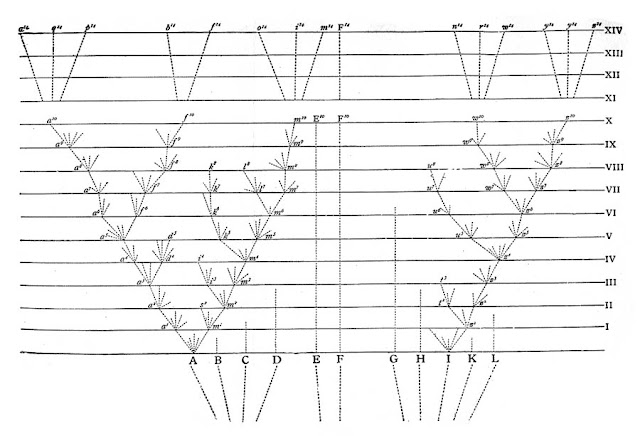 Um longo argumento: A perigosa ideia de Darwin - parte 1