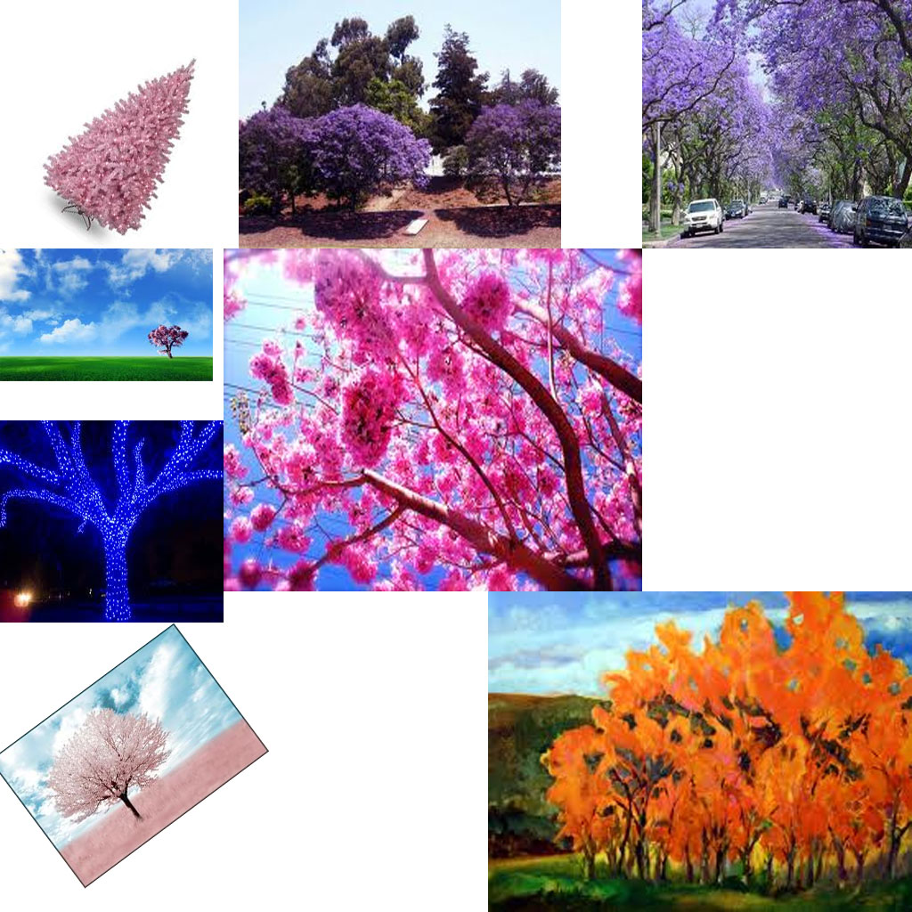 kayla's work: pretty diffrent colored tree's