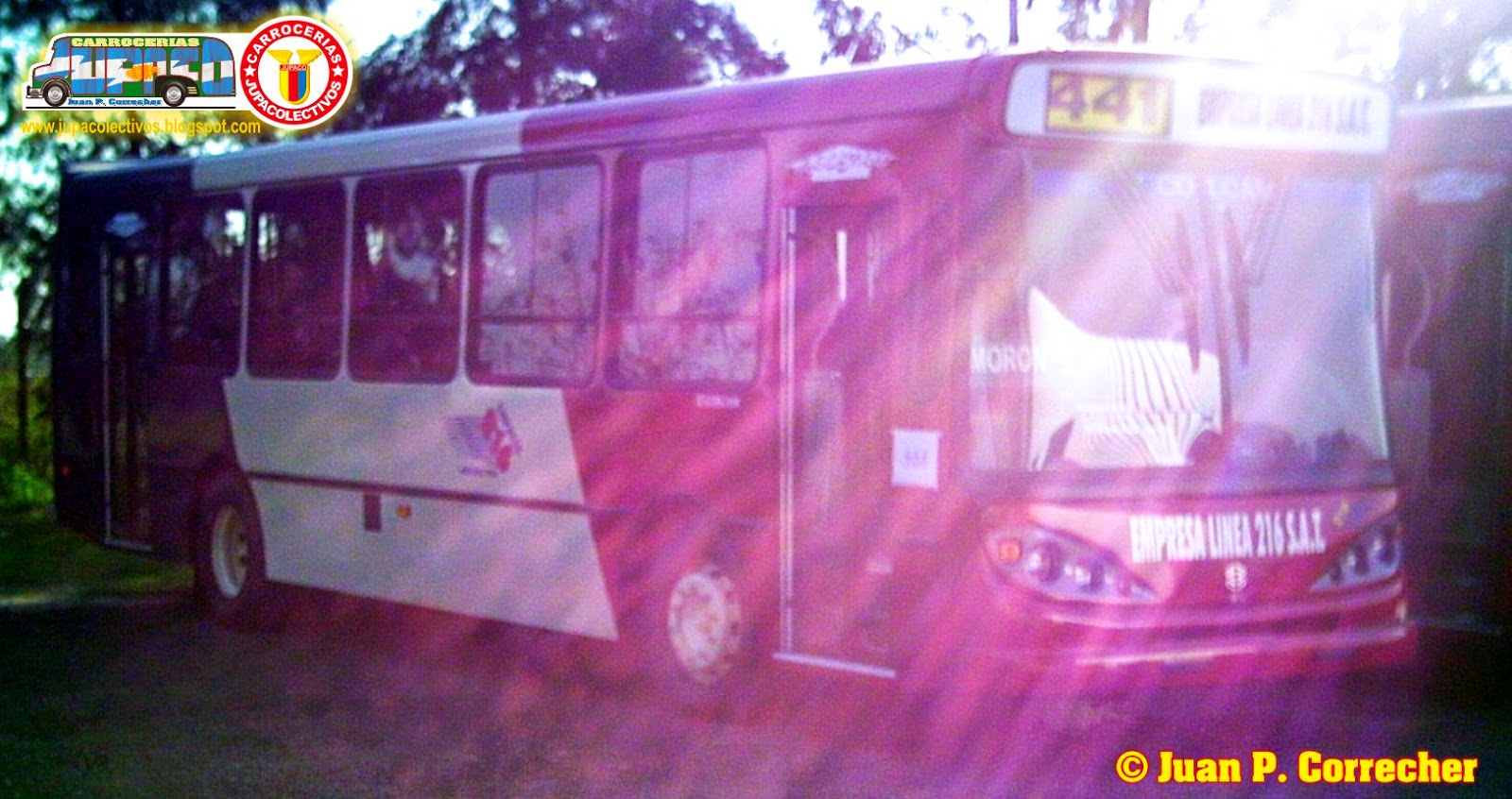Fotos de colectivos: Lineas provinciales de Buenos Aires (lineas 441 ...