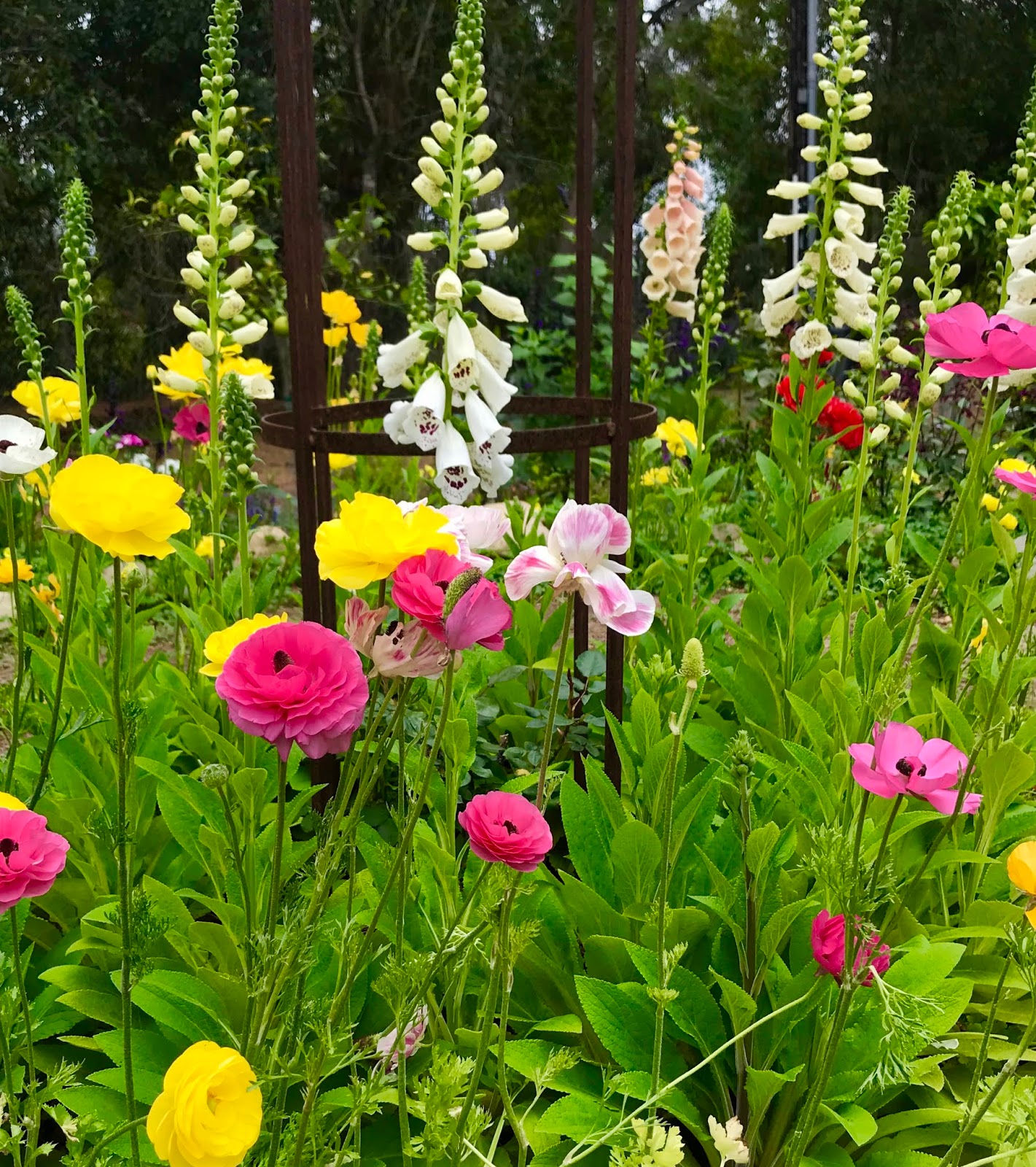 On Discovering A Garden: Gopher Resistant Plants