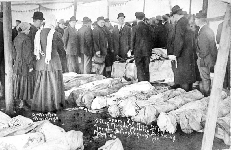 The Digital Research Library of Illinois History Journal™ : The ...