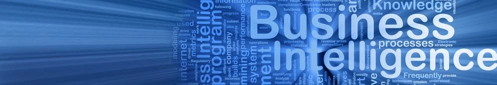 Descubriendo El Mundo BI: Fases de un Proyecto de BI