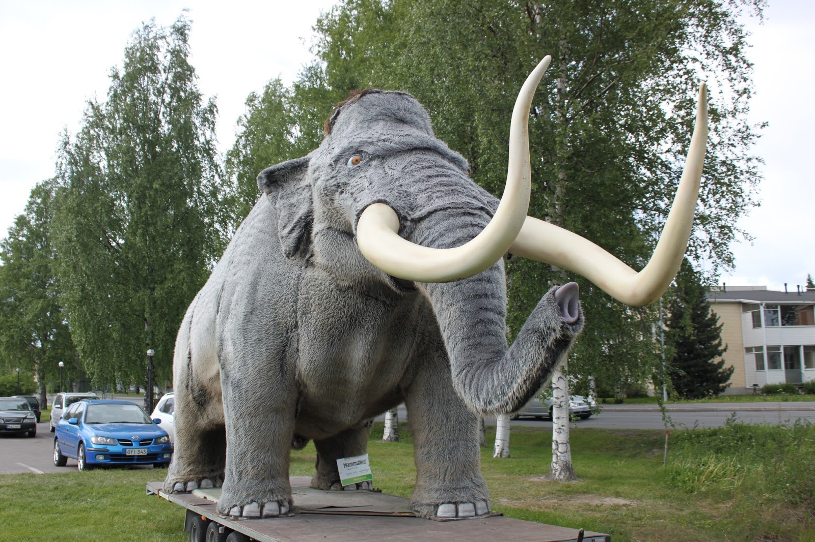 *: Veeti-mammutti kylässä ♥