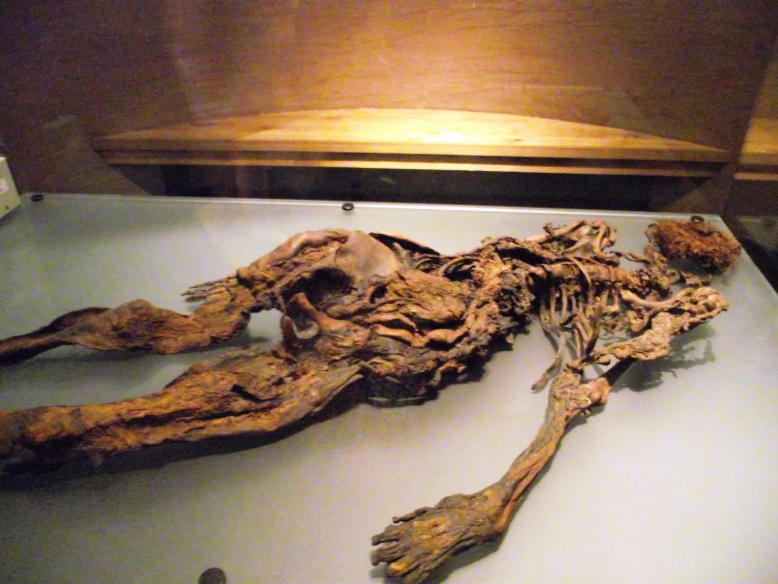 Chando Pilgrimage 2009 to 2012: Dancing in Dublin June 2011