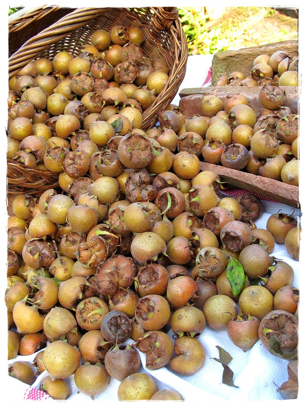 Hoorn Des Overvloeds: Mispels