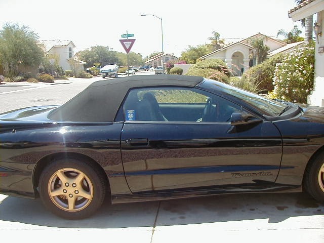 Trans Am Convertible 1995 LT1: For Sale 95 Trans Am Black Convertible LT1