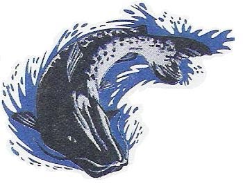 Peña Pesquera El Carayá: XXIV Concurso Argentino de Pesca del Surubi ...