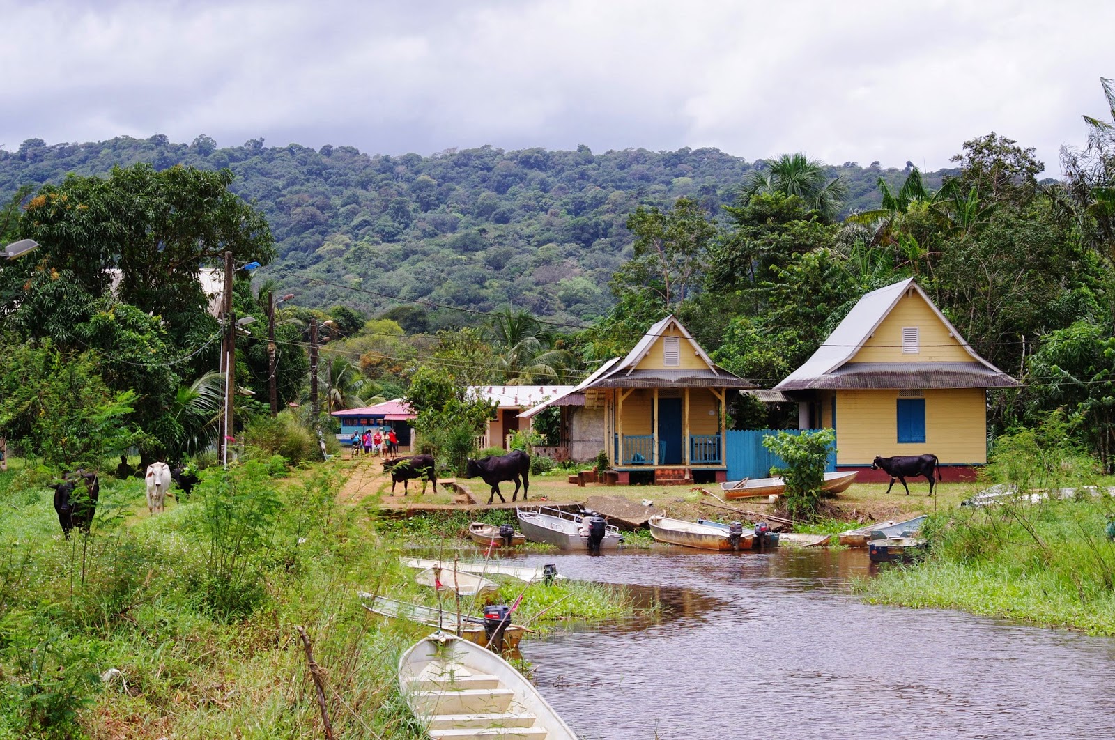 6 mois en Guyane: Balades autour de Cayenne et les Marais de Kaw