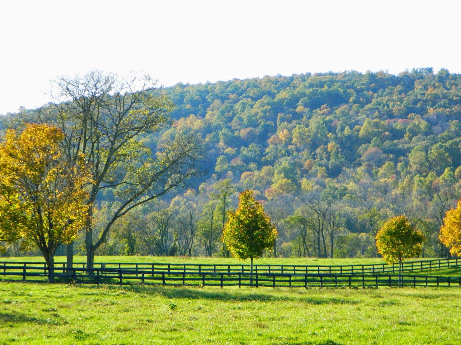 Blue Ridge Mountain Home: Barns and fall foliage of Loudoun County ...