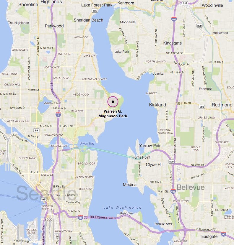 The Dragonfly Whisperer: Magnuson Park