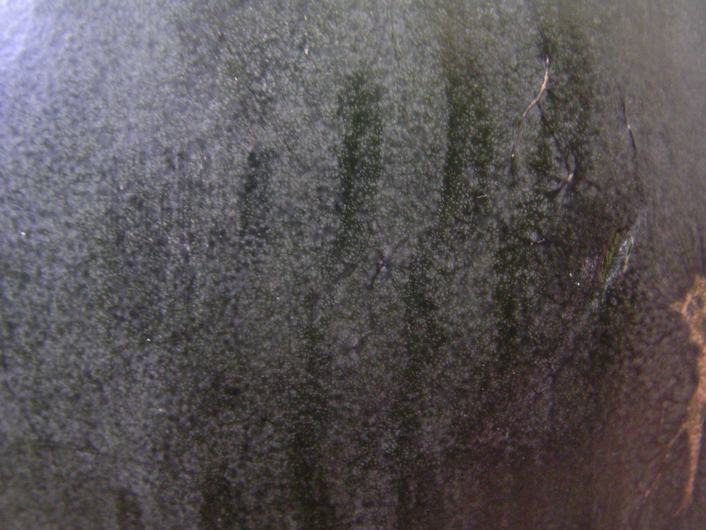 Plant World: Plant World:Watermelon