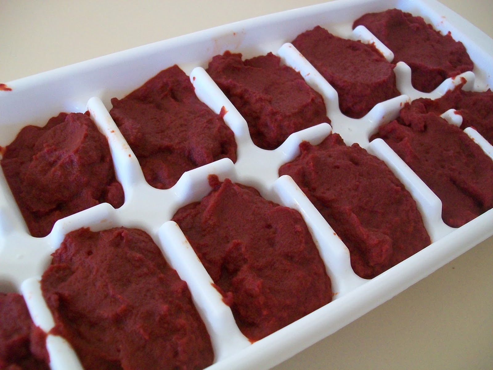 My Abundant Life: Ice Cube Trays - 5 Uses To Save You Money