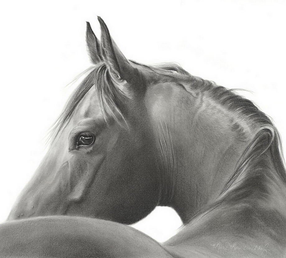 Pintura Moderna y Fotografía Artística : Dibujos de Caballos Realismo Extremo a Lápiz Ross Mary ...