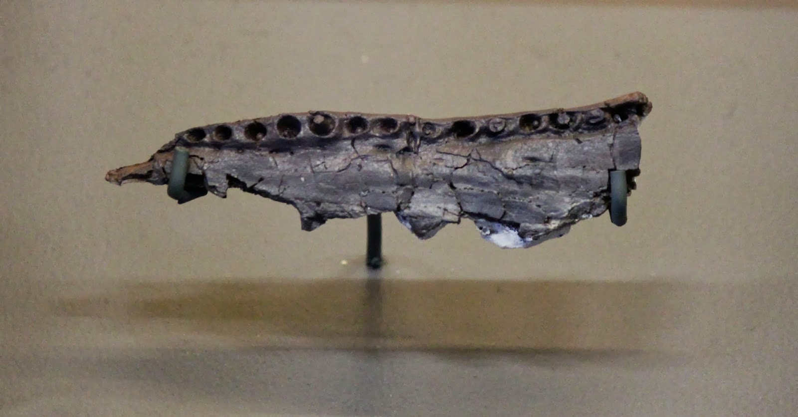 The Natural World: September 2013