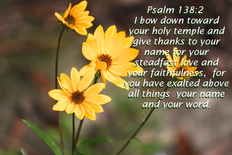 Strait is the gate, narrow is the way.: Son of God Movie, critique