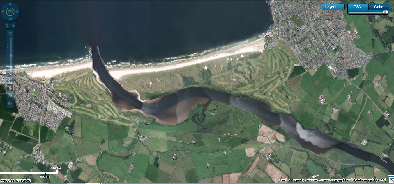 Causeway Coast Ringing Group: Portstewart Strand