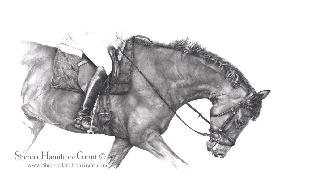 Long rein ... long time coming