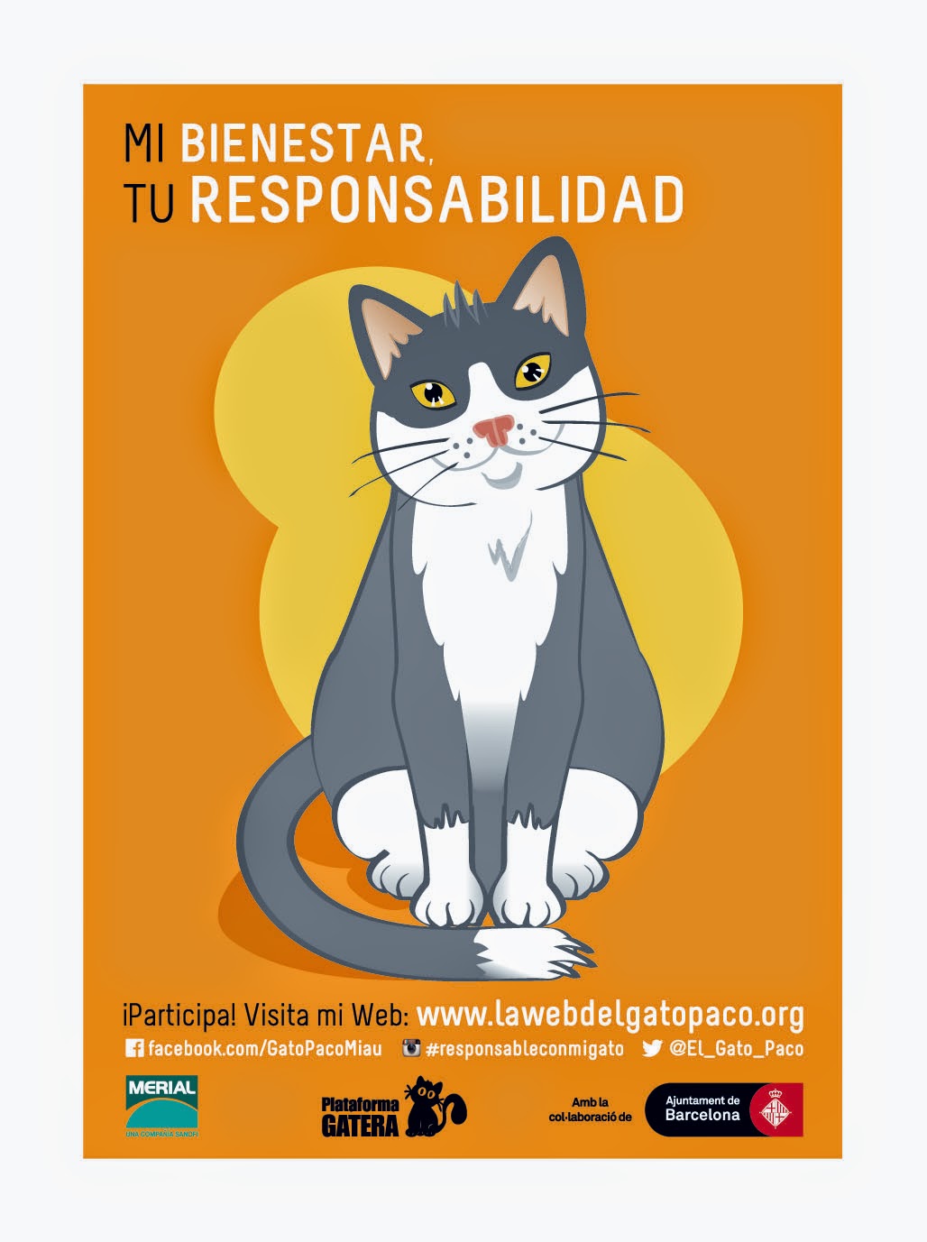 Plataforma GATERA: El Gato Paco irrumpe en campaña para buscar el apoyo ...