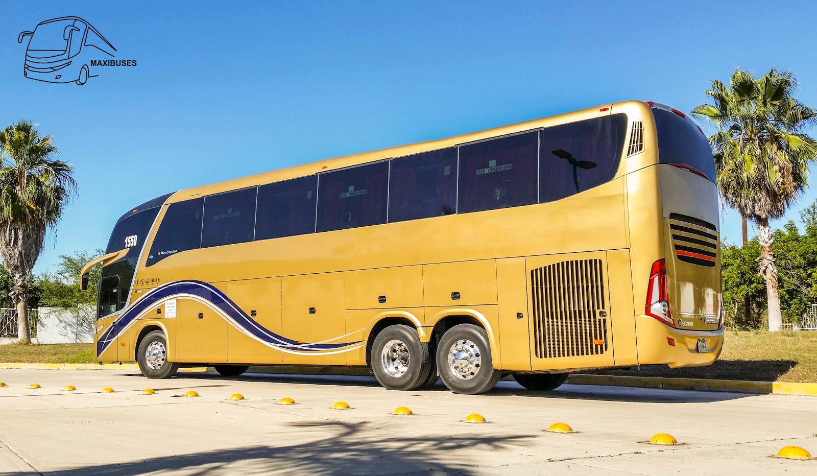 MAXIBUSES: AUTOBUS TURÍSTICO (TURISMO)