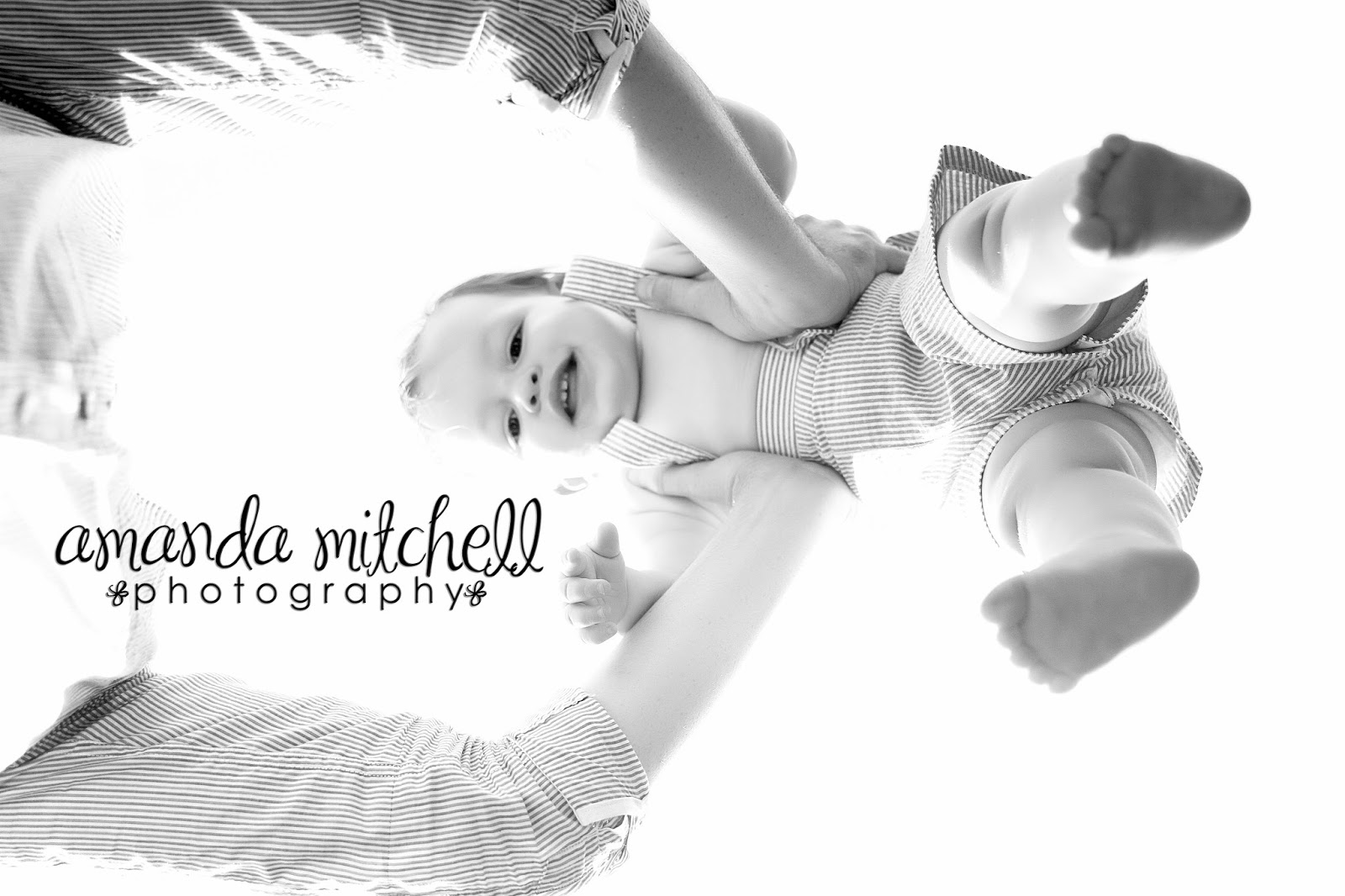 Amanda Mitchell Photography