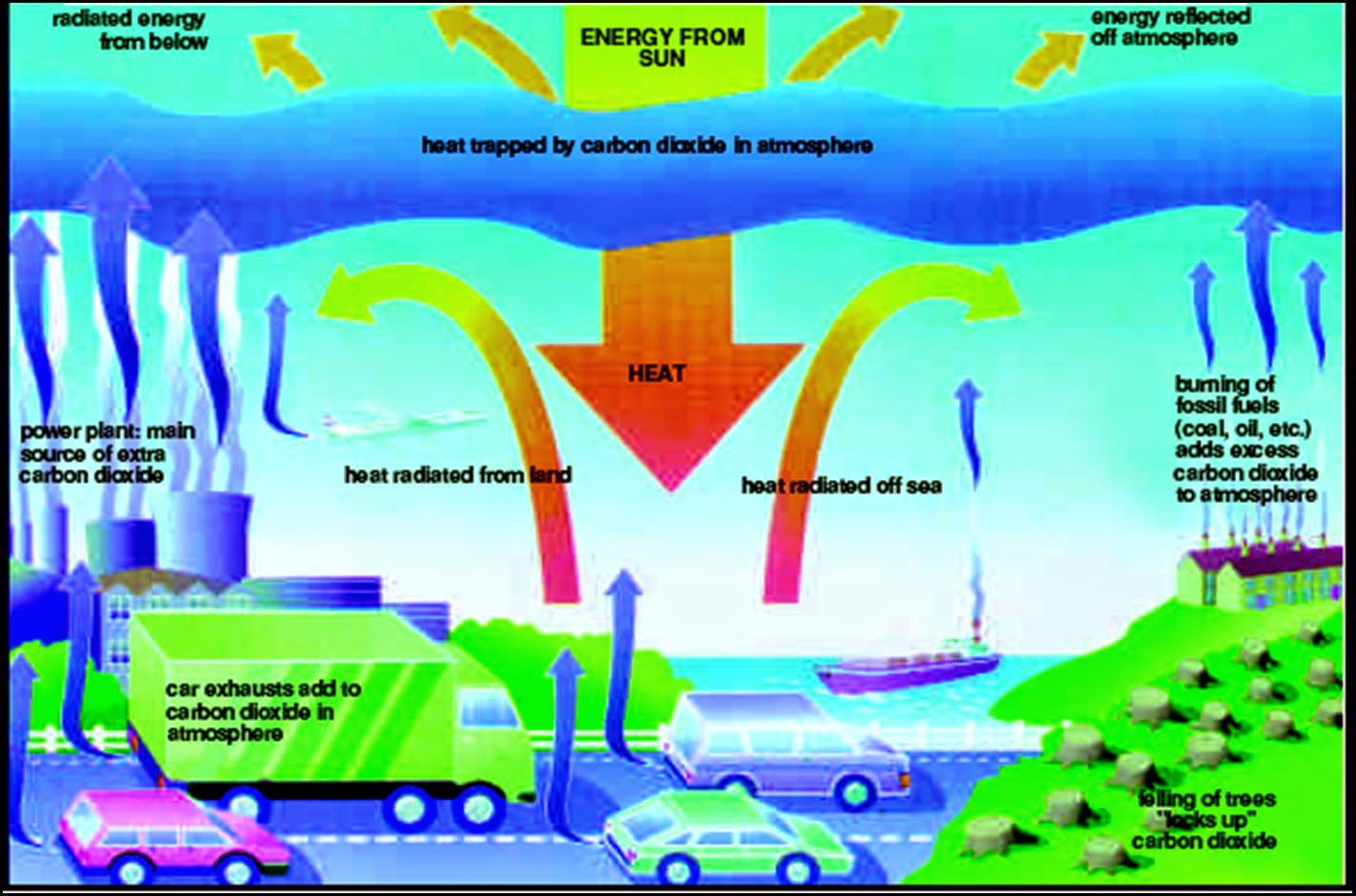 The Living Environment Regent's Prep Made Easy: HUMAN IMPACT 2