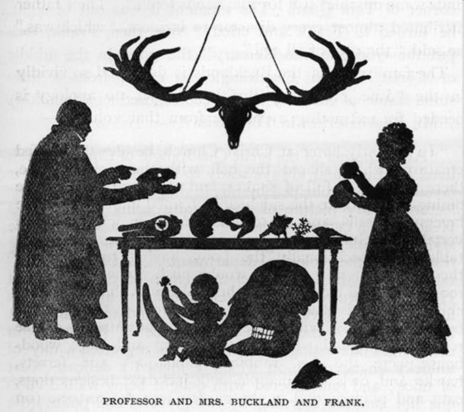 Paleotsunami Travels: Mary Buckland