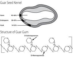 GUAR GUM INFORMATION AND GUAR GUM CULTIVATION IN INDIA: GUAR GUM PROCESSING