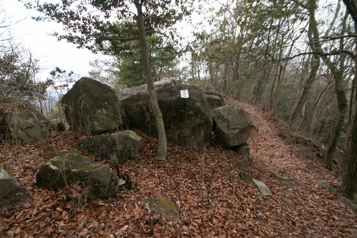 Tenjinyama Castle (Bizen) -When it goes around it comes around- | Ken's ...