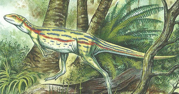 Mundo Pré-Histórico: Fabrossauro