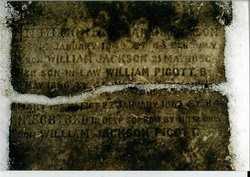 THE PIGOTT FAMILY OF QUEEN'S COUNTY, IRELAND; SOME ANCESTRAL ...