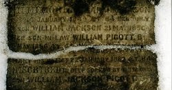 THE PIGOTT FAMILY OF QUEEN'S COUNTY, IRELAND; SOME ANCESTRAL ...