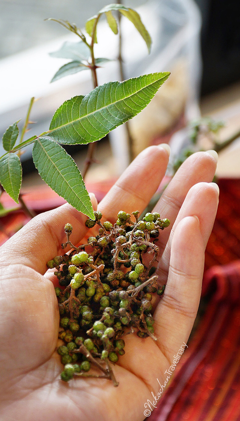 Pikat Potensi Andaliman Yang Menanti Diberdayakan