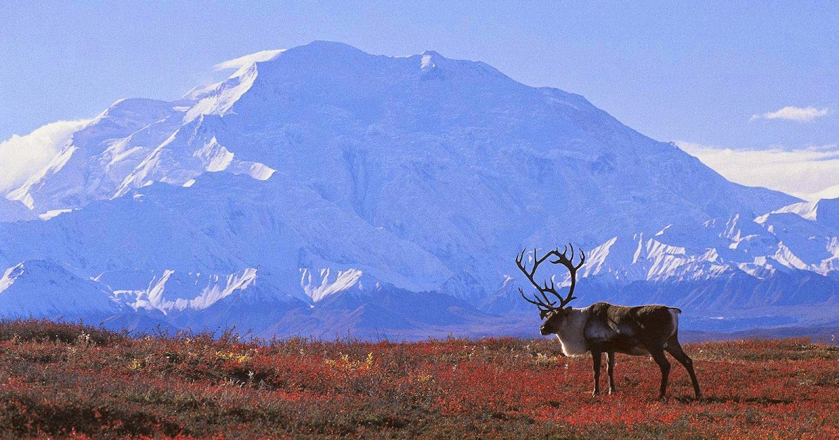 Naturaleza: La región Natural más fría del Mundo.